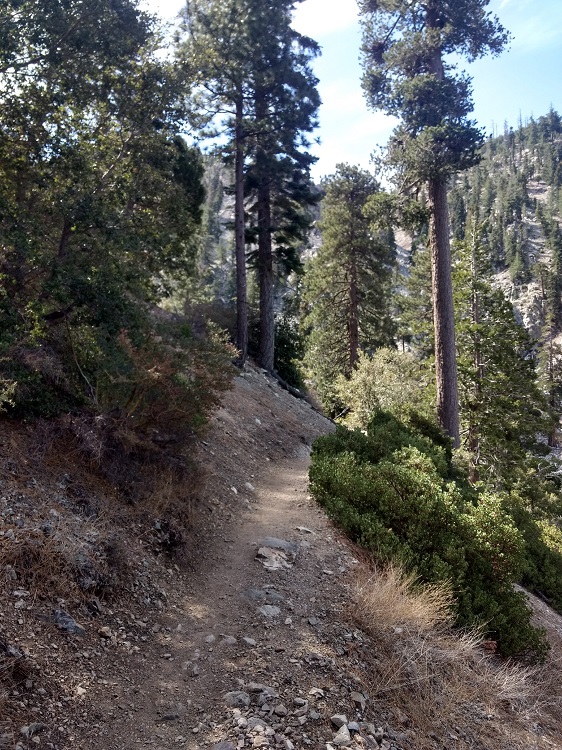 Cucamonga Peak via Icehouse Canyon Trail - The Simple Hiker