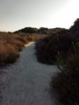 Lake Calavera and Volcano Hiking Guide - The Simple Hiker