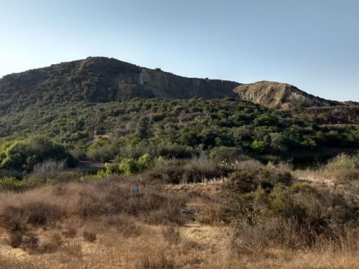 Lake Calavera and Volcano Hiking Guide - The Simple Hiker