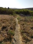 Lake Calavera and Volcano Hiking Guide - The Simple Hiker
