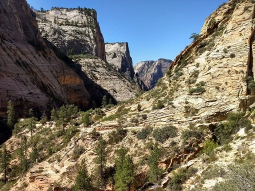 Observation Point Trail Guide In Zion National Park - The Simple Hiker