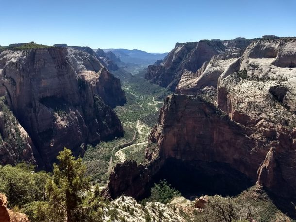 Observation Point Trail Guide In Zion National Park - The Simple Hiker