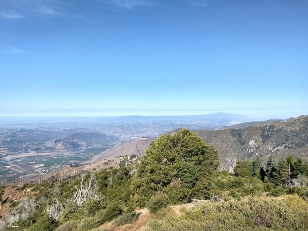 Boucher Trail and Palomar Mountain Loop Trail Guide - The Simple Hiker