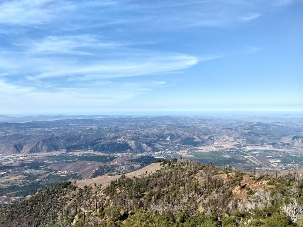 Boucher Trail and Palomar Mountain Loop Trail Guide - The Simple Hiker