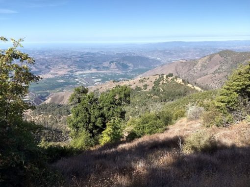 Boucher Trail and Palomar Mountain Loop Trail Guide - The Simple Hiker
