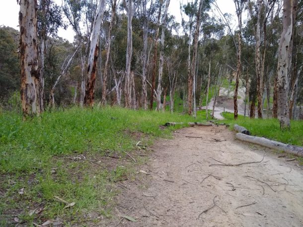 Hosp Grove Hiking Trail Guide - The Simple Hiker