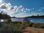Lake Miramar Hiking Trail Guide - The Simple Hiker