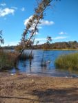 Lake Miramar Hiking Trail Guide - The Simple Hiker