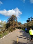 Lake Miramar Hiking Trail Guide - The Simple Hiker