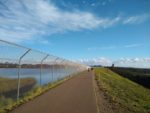 Lake Miramar Hiking Trail Guide - The Simple Hiker