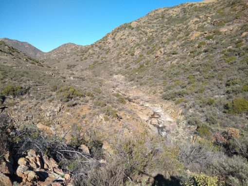 Kitchen Creek Waterfall Hiking Guide - The Simple Hiker
