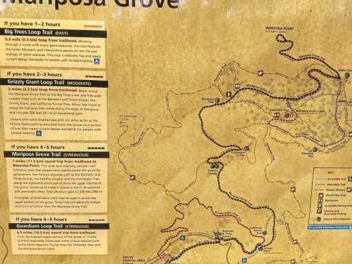 Mariposa Grove Of Giant Sequoia Trail Guide - The Simple Hiker