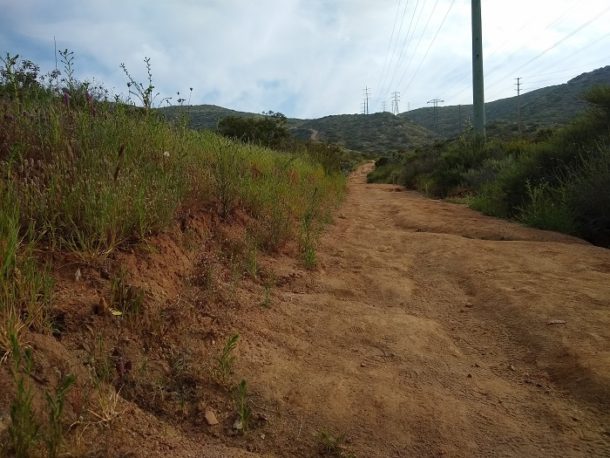 South Fortuna Peak Hiking Trail Guide - The Simple Hiker
