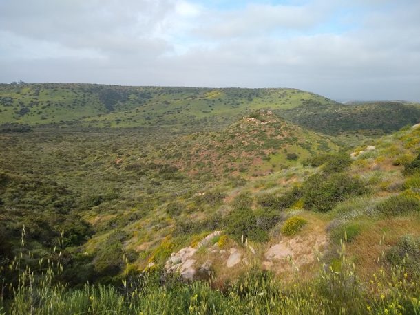 South Fortuna Peak Hiking Trail Guide - The Simple Hiker