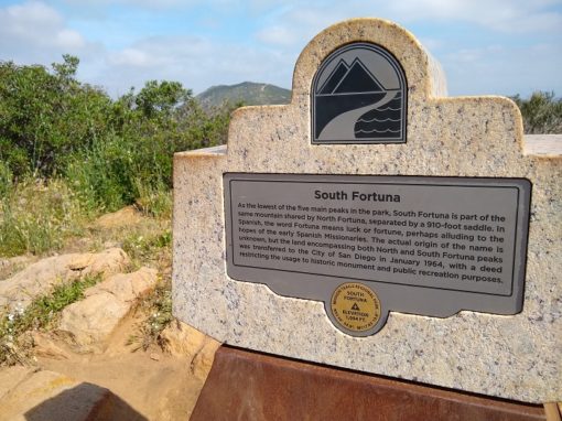 South Fortuna Peak Hiking Trail Guide - The Simple Hiker