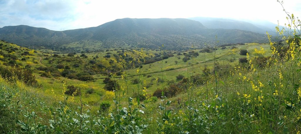 South Fortuna Peak Hiking Trail Guide - The Simple Hiker