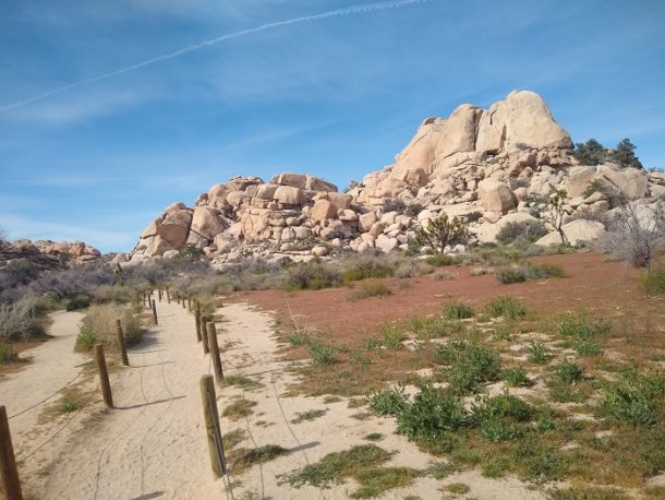 Barker Dam Loop Trail Hiking Guide - The Simple Hiker