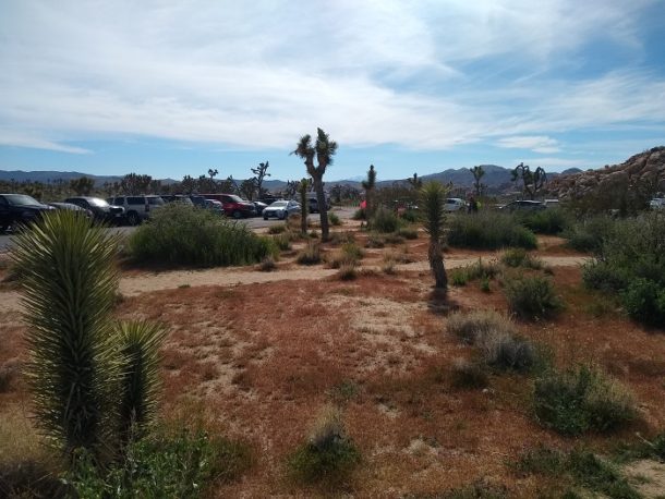 Barker Dam Loop Trail Hiking Guide - The Simple Hiker