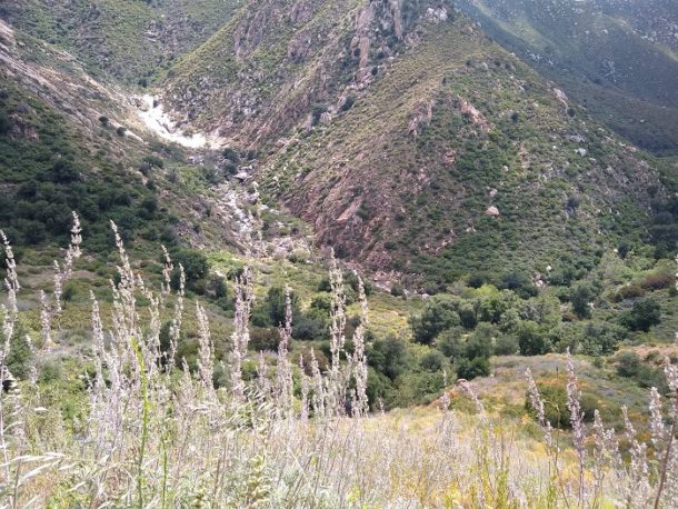 A Hiking Guide To Three Sisters Falls - The Simple Hiker