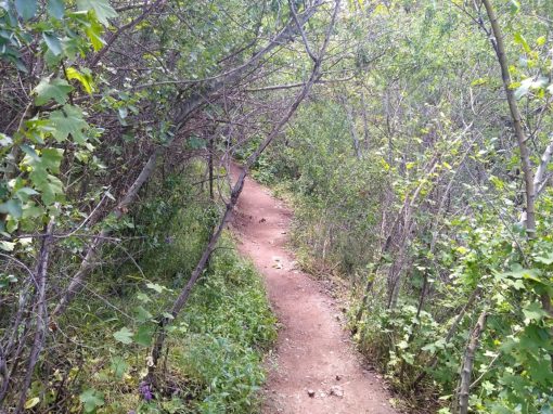 A Hiking Guide To Three Sisters Falls - The Simple Hiker