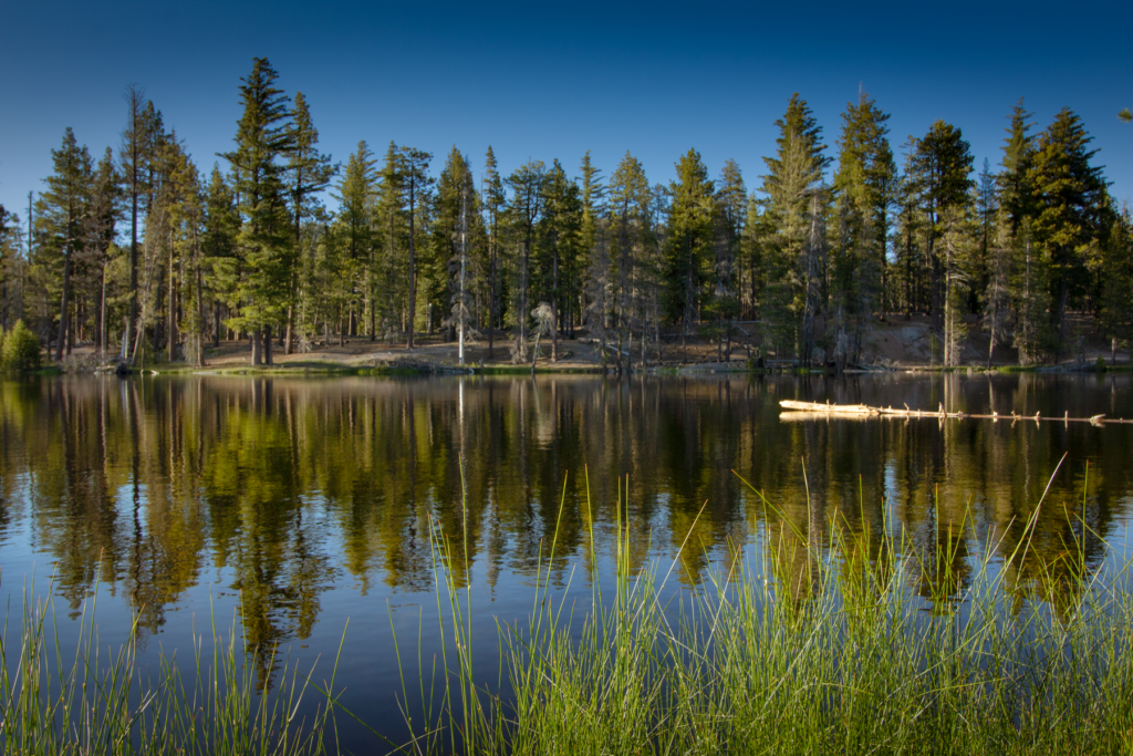 Reflection Lake Hiking Trail Guide - The Simple Hiker