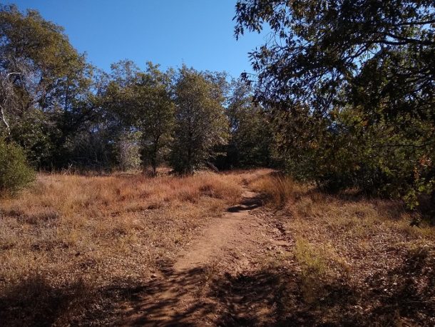 Foster Point Hiking Trail Guide - The Simple Hiker