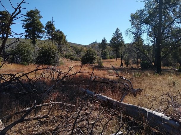 Foster Point Hiking Trail Guide - The Simple Hiker