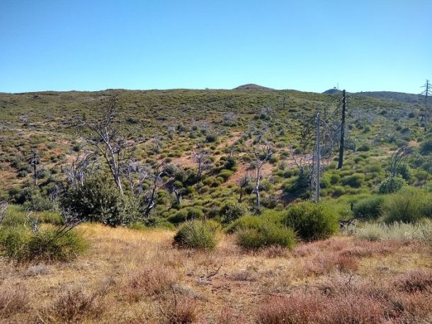 Foster Point Hiking Trail Guide - The Simple Hiker