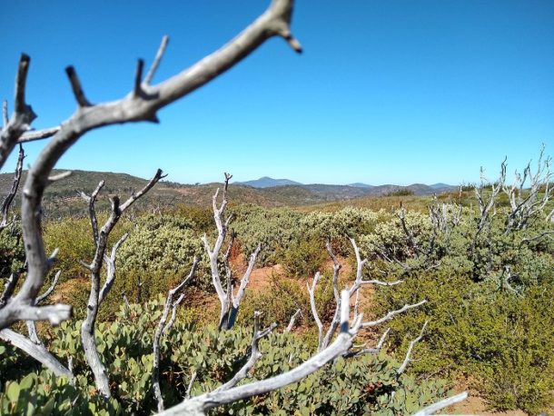 Foster Point Hiking Trail Guide - The Simple Hiker