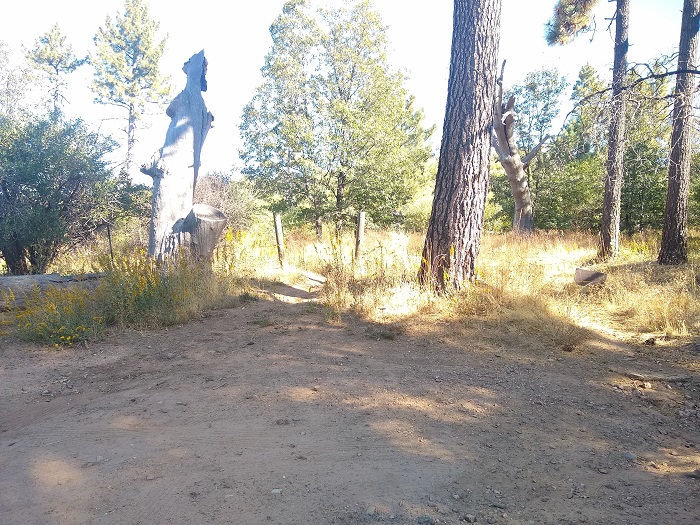 Foster Point Hiking Trail Guide - The Simple Hiker