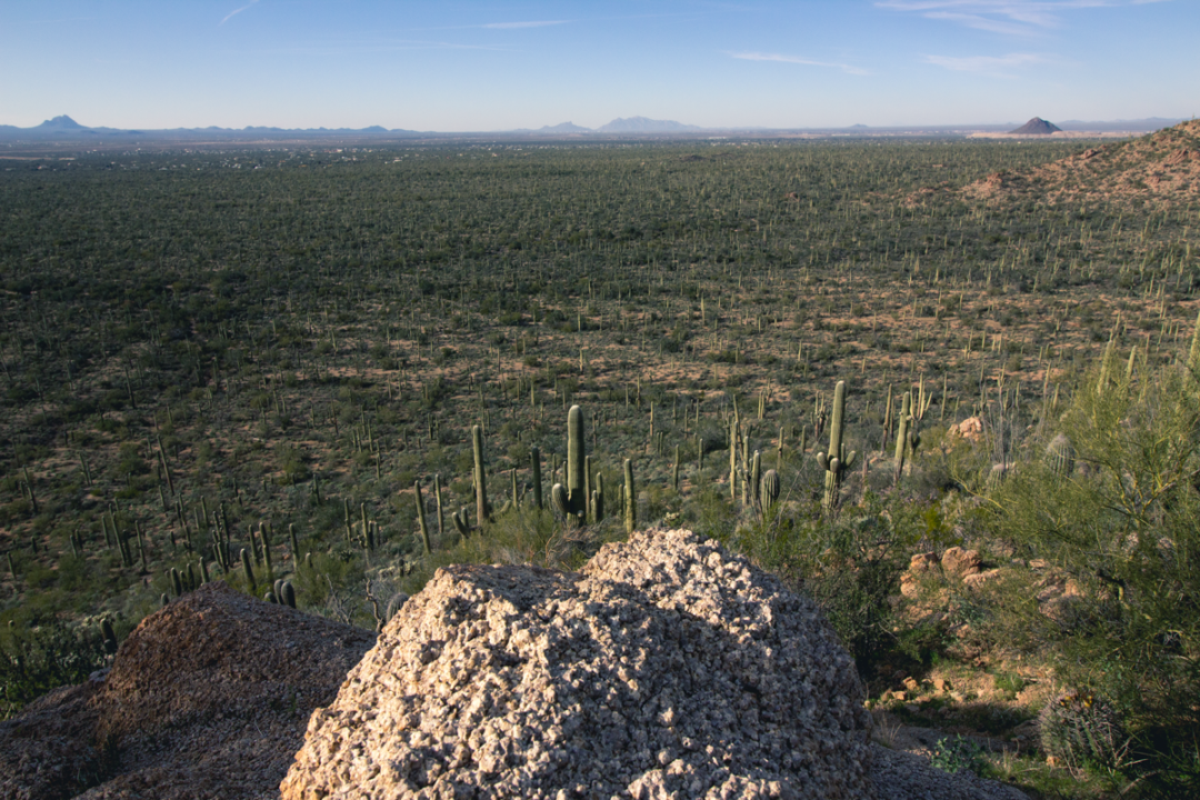 Valley View Overlook Trail - Saguaro National Park - The Simple Hiker