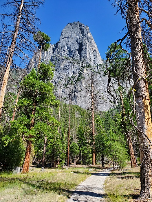 Union Piont Hiking Trail Guide - Yosemite National Park - The Simple Hiker