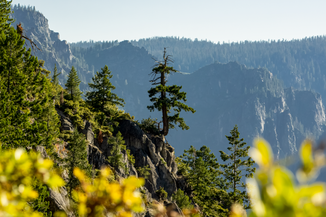 Union Piont Hiking Trail Guide - Yosemite National Park - The Simple Hiker