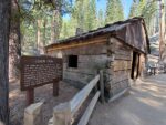 Grant Grove Hiking Trail Guide - The Simple Hiker