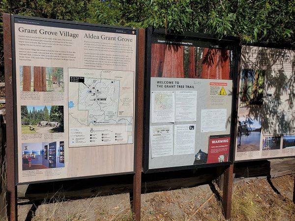 Grant Grove Hiking Trail Guide - The Simple Hiker