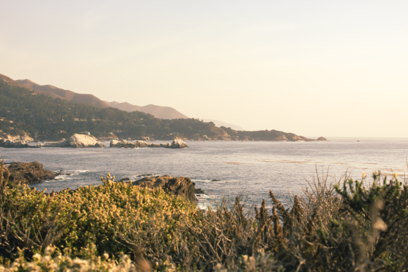 Point Lobos South Shore Trail Hiking Guide - The Simple Hiker