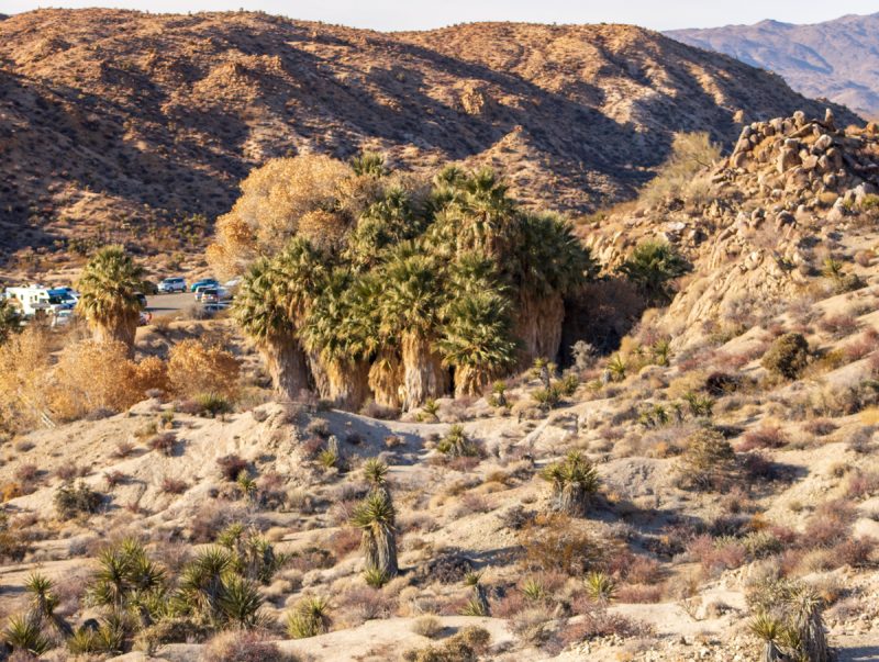 Mastodon Peak Hiking Trail - The Simple Hiker