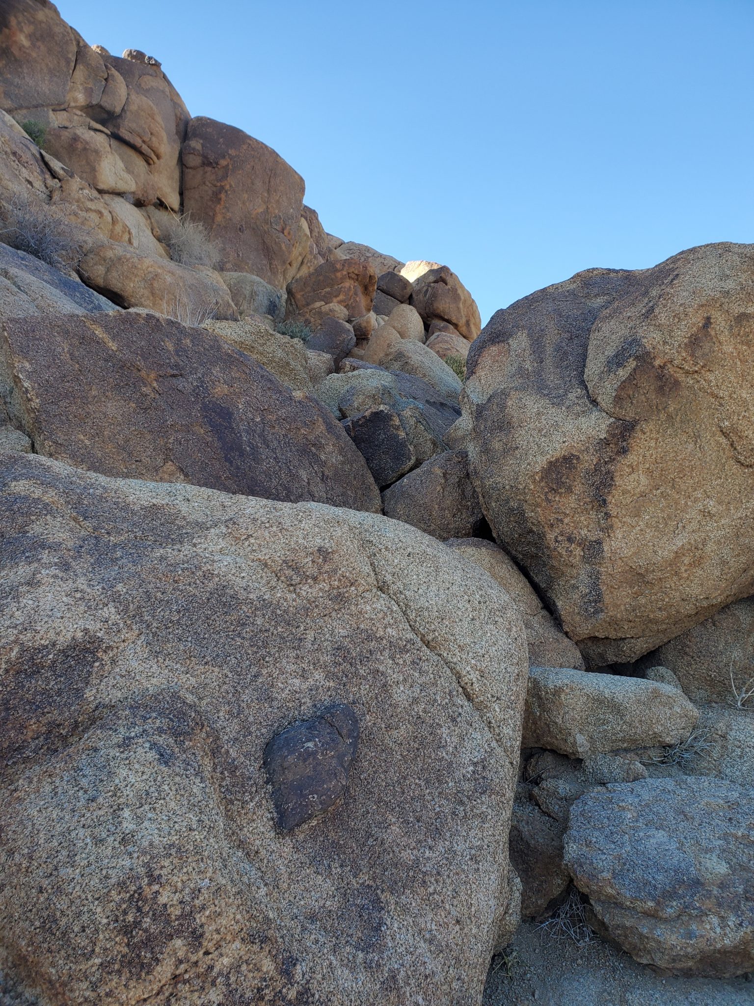 Mastodon Peak Hiking Trail - The Simple Hiker